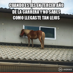 Meme Personalizado - CUANDO estas en TERCER AÑO de la carrera y no ...