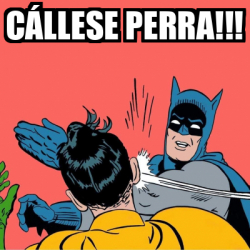 Meme Personalizado - Cállese PERRA!!! - 33081079