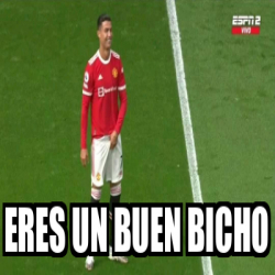 Meme Personalizado - ERes un buen bicho - 33082514