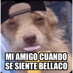 Meme Personalizado - Mi amigo cuando se siente bellaco - 33083582