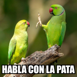 Meme Personalizado - habla con la pata - 33085026