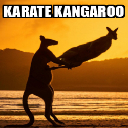 Meme Personalizado - karate KANGAROO - 33085042