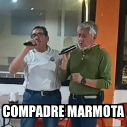 Meme Personalizado - COMPADRE MARMOTA - 33086998