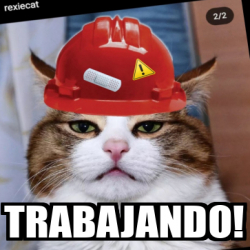 Meme Personalizado - trabajando! - 33087373