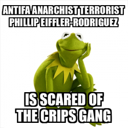 Meme Kermit the frog - Antifa Anarchist Terrorist Phillip Eiffler ...