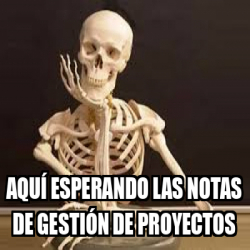 Meme Personalizado - Aquí esperando las notas de Gestión de Proyectos ...