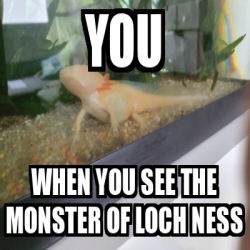 Meme Personalizado - you when you see the monster of loch ness - 33096031