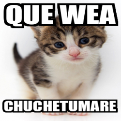 Meme Personalizado - que wea chuchetumare - 33096291