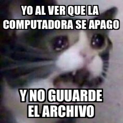 Meme Personalizado - yo al ver que la computadora se apago y no guuarde ...