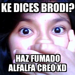Meme Personalizado - Ke DICES BRODI? haz fumado alfalfa creo XD - 4019055