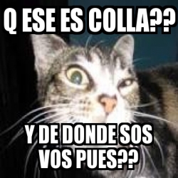 Meme Personalizado - q ese es colla?? y de donde sos vos pues?? - 4019555