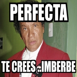 Meme Personalizado - perfecta te crees ..imberbe - 4108716