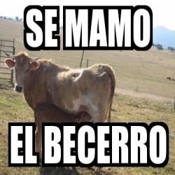 Meme Personalizado - SE MAMO el becerro - 4155894