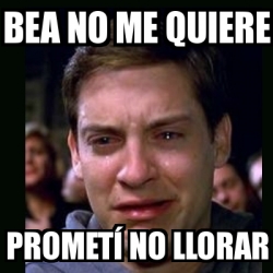 Meme crying peter parker - BEA NO ME QUIERE PROMETÃ NO LLORAR - 4200521