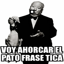 Meme Personalizado - . voy ahorcar el pato frase tica - 4218304