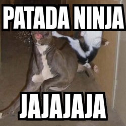 Meme Personalizado - patada ninja jajajaja - 4230775