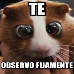 Meme Personalizado - te OBSERVO FIJAMENTE - 4251862