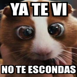 Meme Personalizado - YA TE VI NO TE ESCONDAS - 4251881