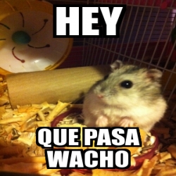 Meme Personalizado - Hey Que pasa wacho - 4281773