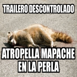Meme Personalizado - trailero descontrolado atropella mapache en la ...