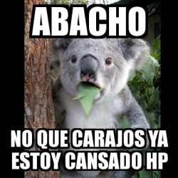 Meme Koala - abacho no que carajos ya estoy cansado HP - 4310132