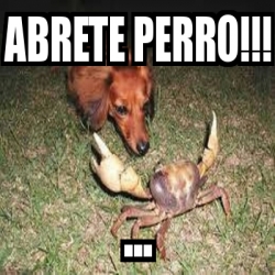 Meme Personalizado - abrete perro!!! ... - 4356977