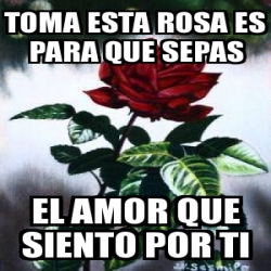Meme Personalizado - toma esta rosa es para que sepas el amor que ...