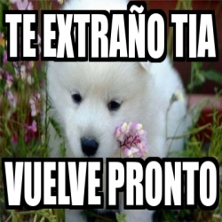 Meme Personalizado - te extraÃ±o tia vuelve pronto - 4410826