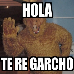 Meme Personalizado - Hola Te re garcho - 4423513