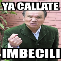 Meme Personalizado - ya callate imbecil! - 4424324