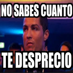 Meme Personalizado - no sabes cuanto te desprecio - 4458518