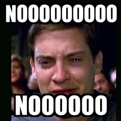 Meme crying peter parker - NOOOOOOOOO NOOOOOO - 4478575