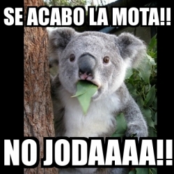 Meme Koala - Se acabo la mota!! no jodaaaa!! - 4490992
