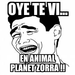 Meme Yao Ming 2 - oye te vi... en animal planet zorra !! - 4050475