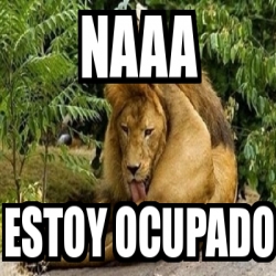 Meme Personalizado - naaa estoy ocupado - 4564291