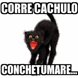 Meme Personalizado - CORRE CACHULO CONCHETUMARE... - 4570420