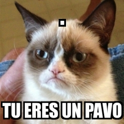 Meme Grumpy Cat - . Tu eres un pavo - 4596415
