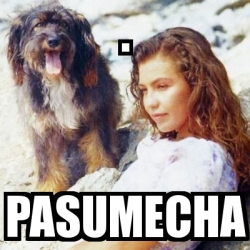 Meme Personalizado - . PASUMECHA - 4609923