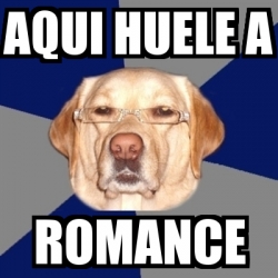 Meme Perro Racista - AQUI HUELE A ROMANCE - 4650097