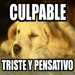 Meme Personalizado - culpable triste y pensativo - 4677112