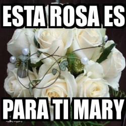 Meme Personalizado - esta rosa es para ti mary - 4682588