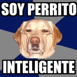 Meme Perro Racista - soy perrito inteligente - 4694382