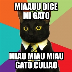 Meme Business Cat - miaauu dice mi gato miau miau miau gato culiao ...
