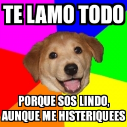 Meme Advice Dog - te lamo todo porque sos lindo, aunque me histeriquees ...