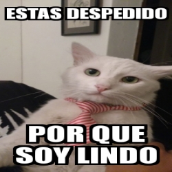 Meme Personalizado - eSTAS DESPEDIDO POR QUE SOY LINDO - 4746884