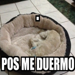 Meme Personalizado - . POS ME DUERMO - 4789216
