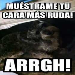 Meme Personalizado - MuÃ©strame tu cara mÃ¡s ruda! Arrgh! - 4097233