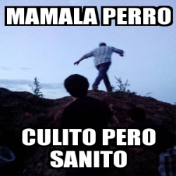 Meme Personalizado - MAMALA PERRO CULITO PERO SANITO - 4976069