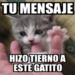 Meme Personalizado - tu mensaje hizo tierno a este gatito - 4979121