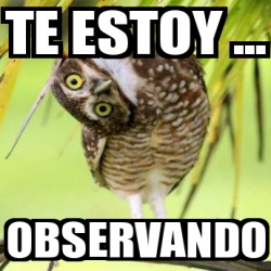 Meme Personalizado - te estoy ... observando - 5124708